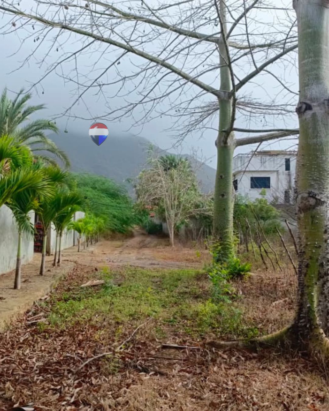 Terreno, En Venta, En Caserio Espinoza, Nueva Esparta, Isla de ...